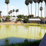 RV Parks in Mission, Texas - Top 20 Campgrounds near Mission, TX ...